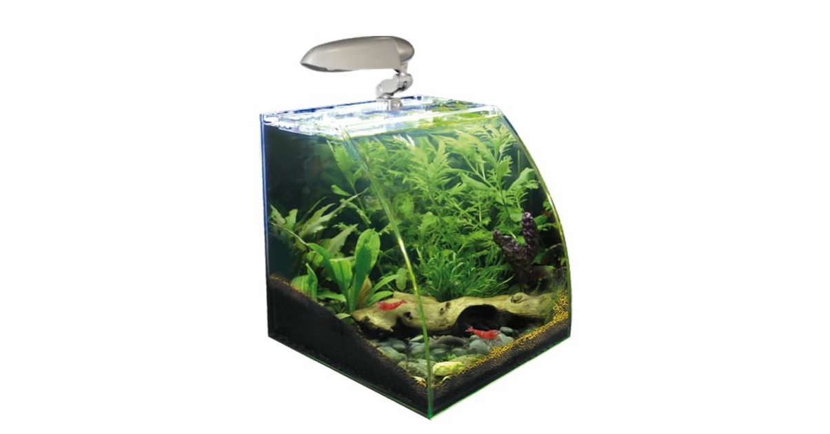 Nano Aquarium WAVE Box Vision 30 avec vitre avant courbé tout équipé de 20L dimensions : 30 X 30 ...